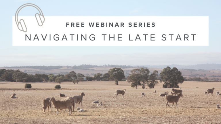 Webinar series – Navigating the late start