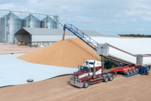 Grain marketing guidelines for harvest and beyond