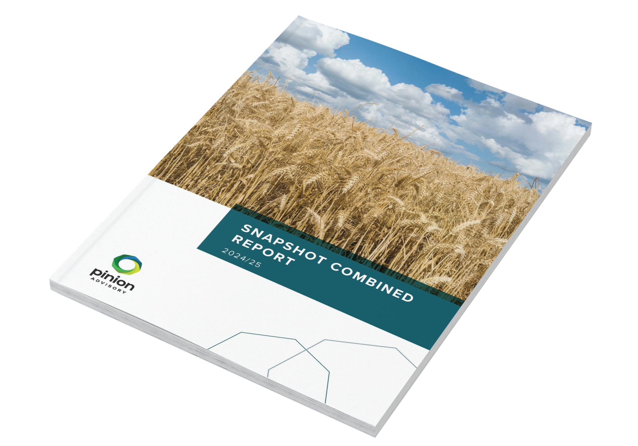 A Snapshot into Southern Australian farm businesses 2024/25